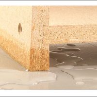 Index of /wp-content/uploads/2018/10